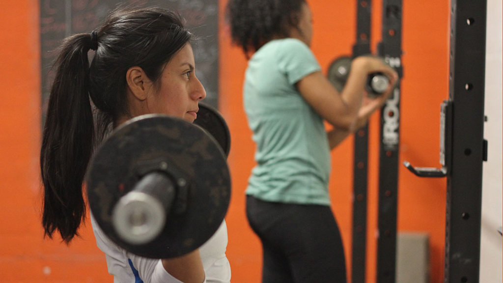 Spitfire Athlete Beginner Strength Cycle - Bay Strength